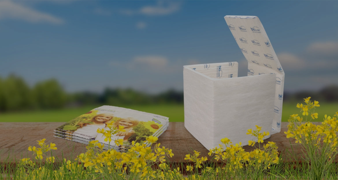 Services – Frontier Paper & Packaging