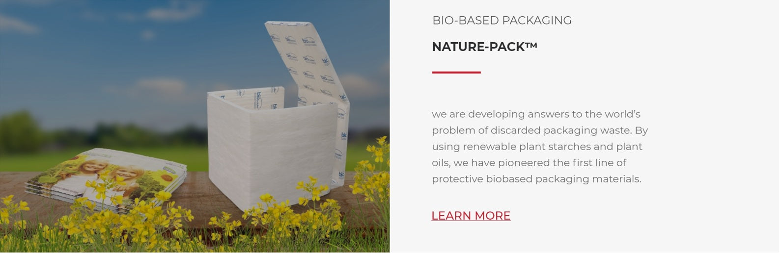 Boxes | Shipping Supplies | Thermal Shield™ | Nature-Pack™ | Mailers – Frontier Paper & Packaging